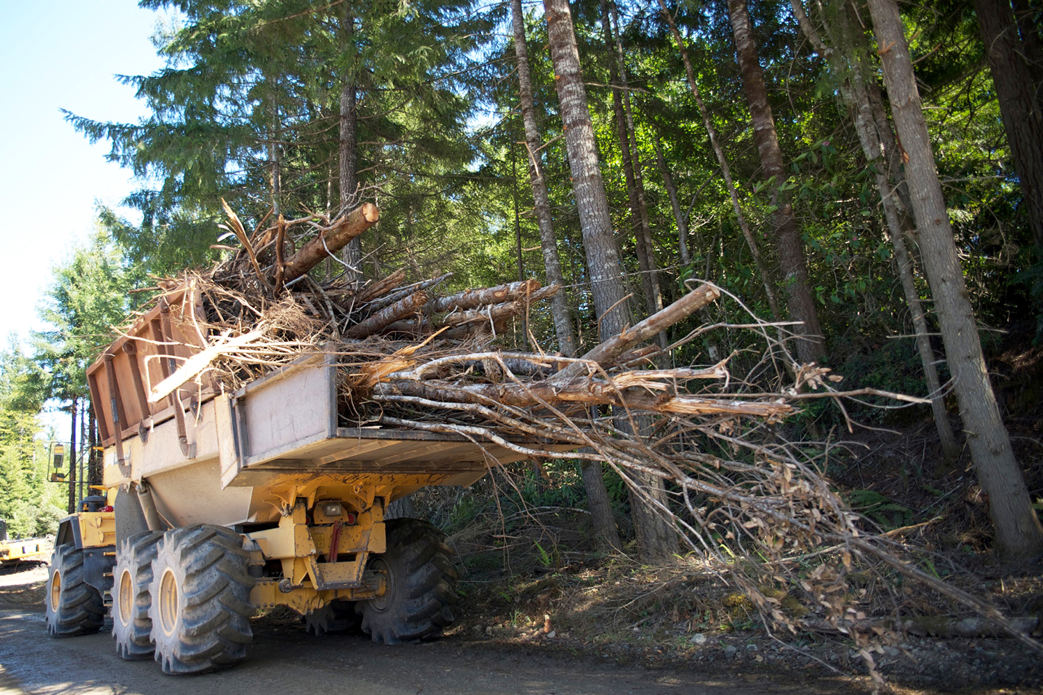 Minimizing emissions from forest residues – Schatz Energy Research Center