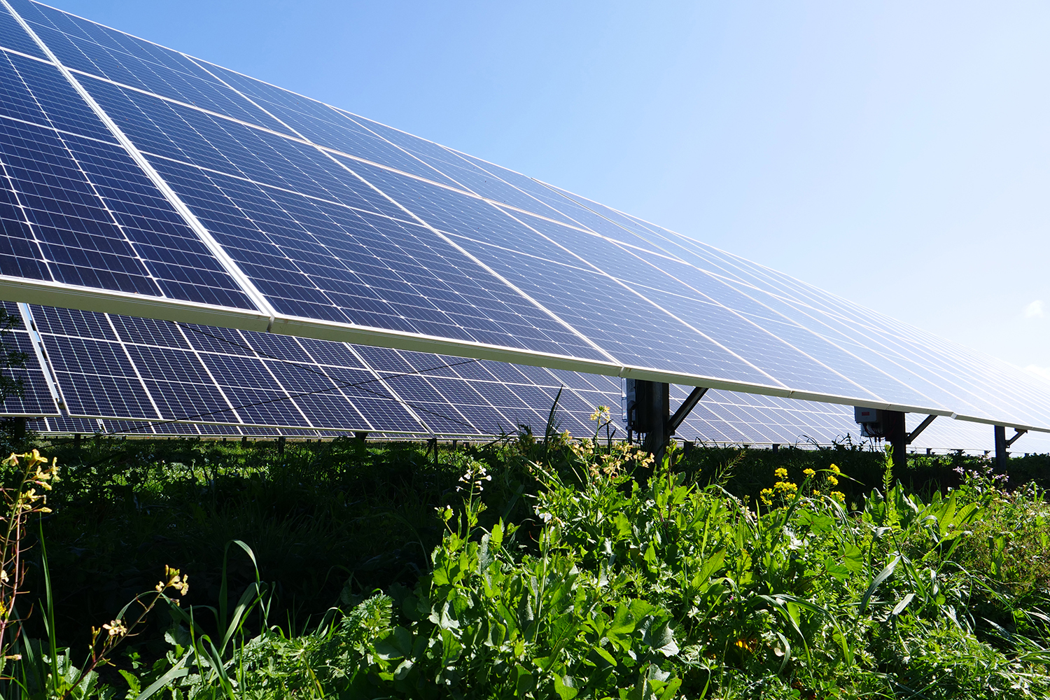 California’s first 100% renewable multi-customer microgrid is now ...